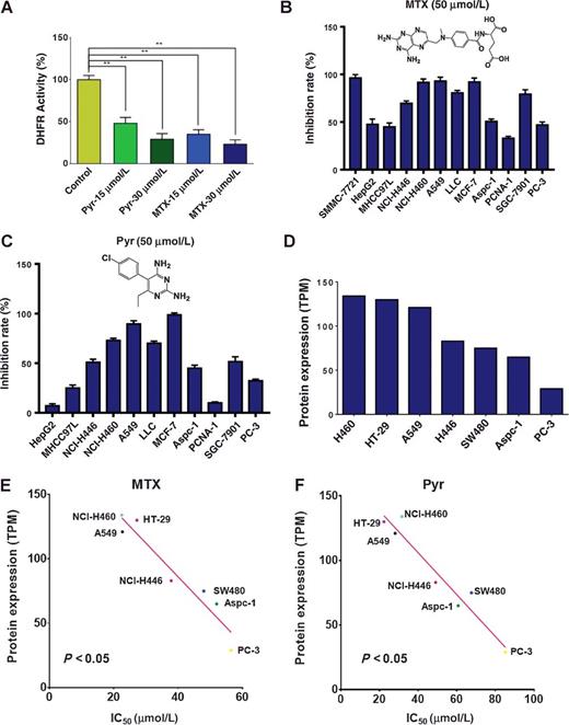 Antimalarial Drug Pyrimethamine Plays a Dual Role in Antitumor ...