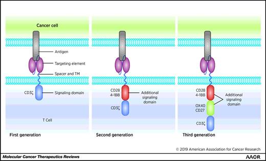 What CAR Will Win the CD19 Race? | Molecular Cancer Therapeutics ...