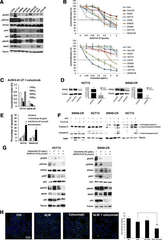 EPHA2 Is a Predictive Biomarker of Resistance and a Potential ...