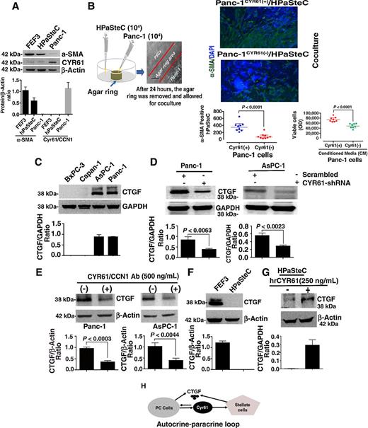 CYR61/CCN1 Regulates dCK and CTGF and Causes Gemcitabine-resistant ...
