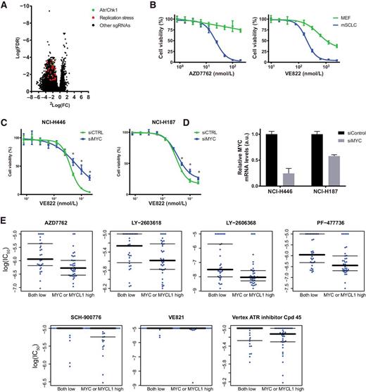Inhibition of the Replication Stress Response Is a Synthetic ...