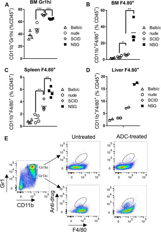 Mouse Strains Influence Clearance and Efficacy of Antibody and Antibody ...