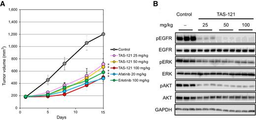 TAS-121, A Selective Mutant EGFR Inhibitor, Shows Activity Against ...