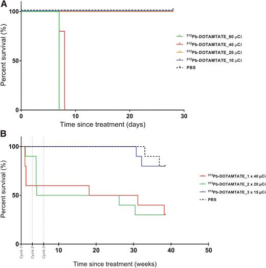 Preclinical Investigation of 212Pb-DOTAMTATE for Peptide Receptor ...