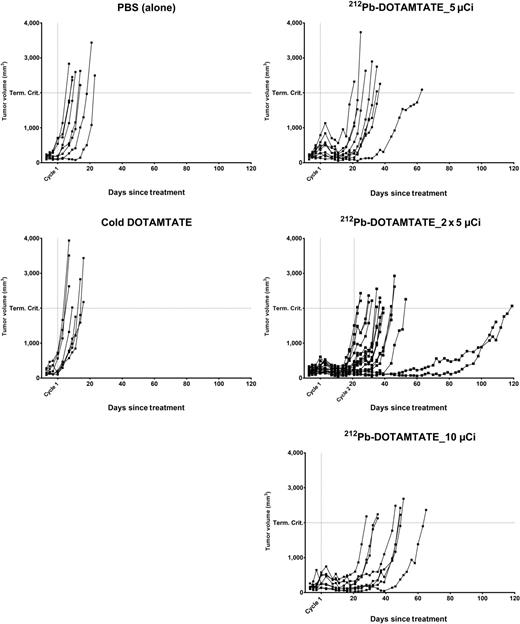 Preclinical Investigation of 212Pb-DOTAMTATE for Peptide Receptor ...
