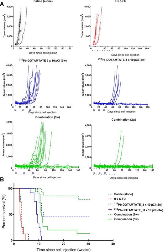 Preclinical Investigation of 212Pb-DOTAMTATE for Peptide Receptor ...