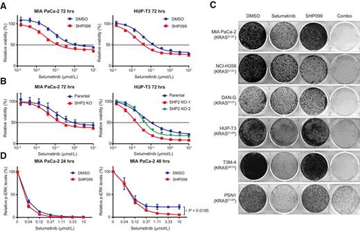 SHP2 Inhibition Overcomes RTK-Mediated Pathway Reactivation in KRAS ...
