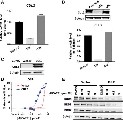 Acquired Resistance to BET-PROTACs (Proteolysis-Targeting Chimeras ...
