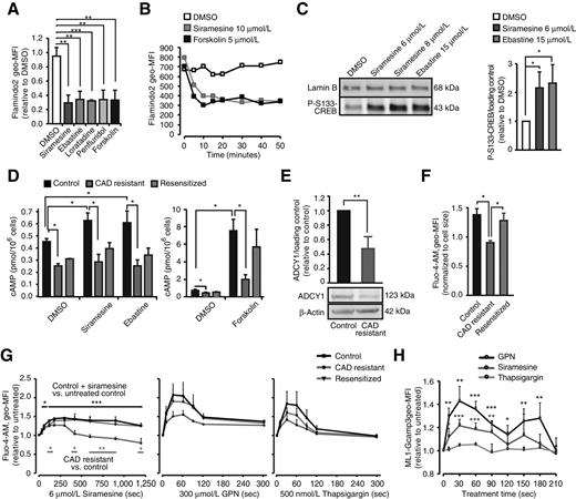 Cell Death Induced by Cationic Amphiphilic Drugs Depends on Lysosomal ...