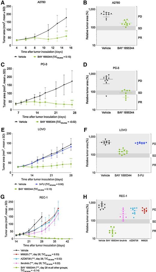 The Novel ATR Inhibitor BAY 1895344 Is Efficacious as Monotherapy and ...
