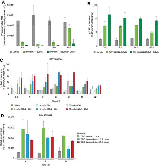 The Novel ATR Inhibitor BAY 1895344 Is Efficacious as Monotherapy and ...
