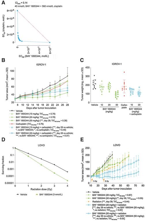 The Novel ATR Inhibitor BAY 1895344 Is Efficacious as Monotherapy and ...