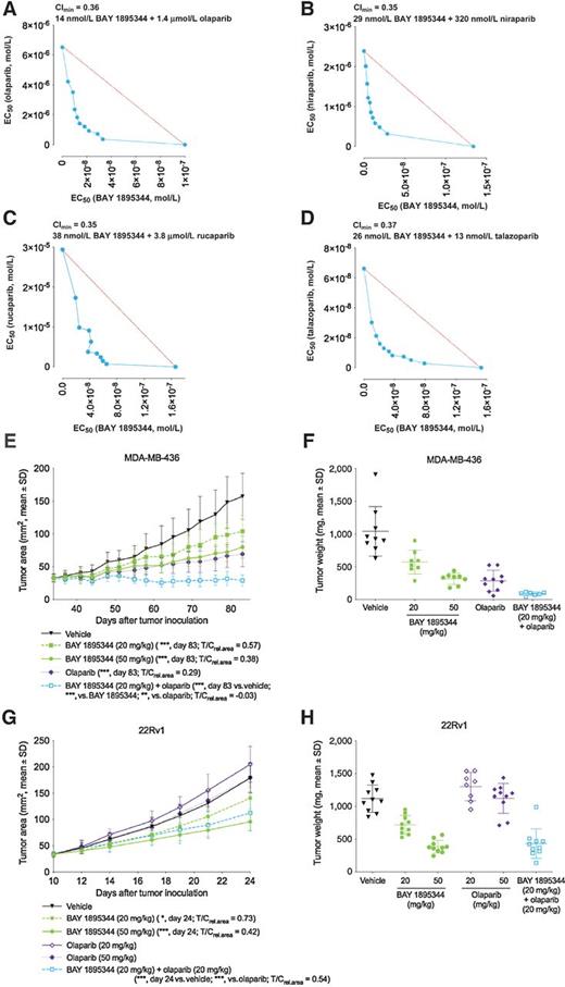 The Novel ATR Inhibitor BAY 1895344 Is Efficacious as Monotherapy and ...