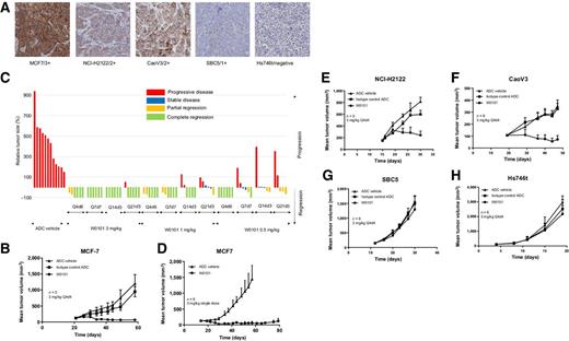 Efficacy of the Antibody–Drug Conjugate W0101 in Preclinical Models of ...