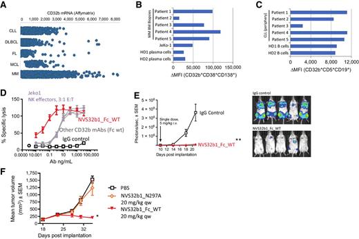 Development of Anti-CD32b Antibodies with Enhanced Fc Function for the ...