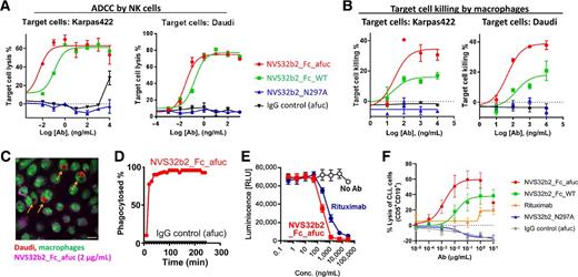 Development of Anti-CD32b Antibodies with Enhanced Fc Function for the ...