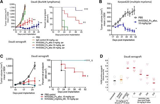 Development of Anti-CD32b Antibodies with Enhanced Fc Function for the ...