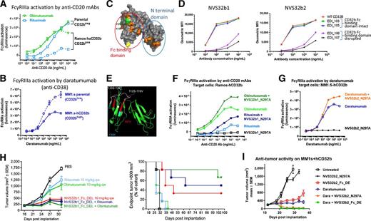 Development of Anti-CD32b Antibodies with Enhanced Fc Function for the ...
