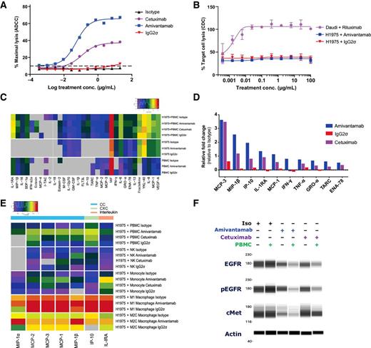 Amivantamab (JNJ-61186372), an Fc Enhanced EGFR/cMet Bispecific ...