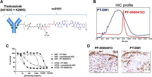 PF-06804103, A Site-specific Anti-HER2 Antibody–Drug Conjugate for the ...