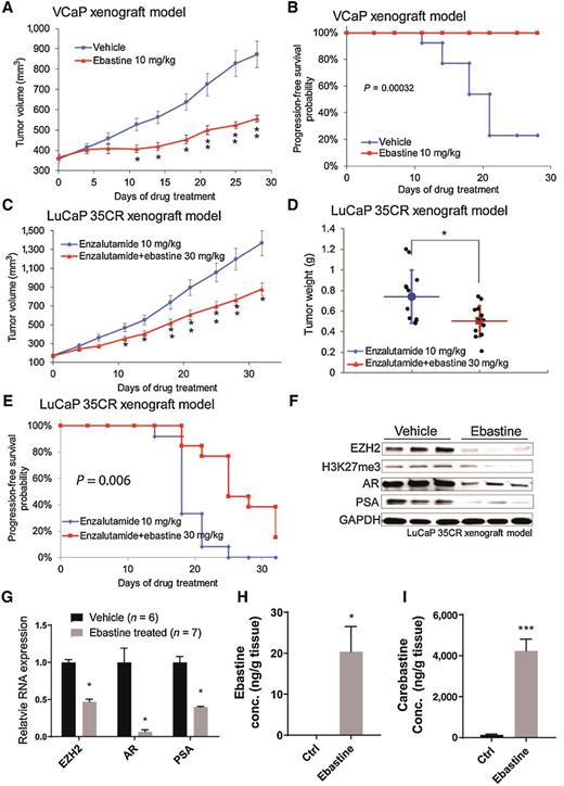 Antihistamine Drug Ebastine Inhibits Cancer Growth by Targeting ...