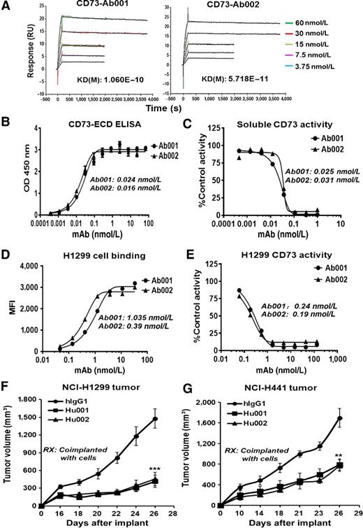 Dual Mechanisms of Novel CD73-Targeted Antibody and Antibody–Drug ...