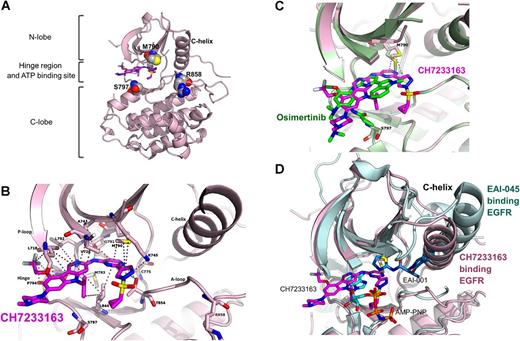 CH7233163 Overcomes Osimertinib-Resistant EGFR-Del19/T790M/C797S ...