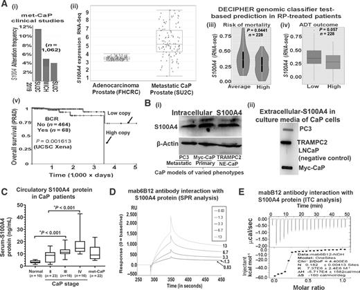 Anti-S100A4 Antibody Therapy Is Efficient in Treating Aggressive ...