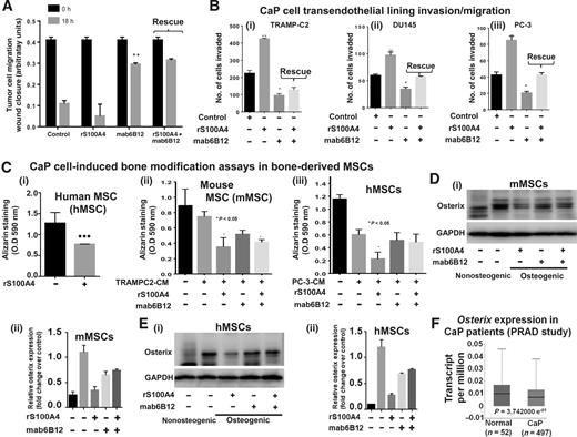 Anti-S100A4 Antibody Therapy Is Efficient in Treating Aggressive ...