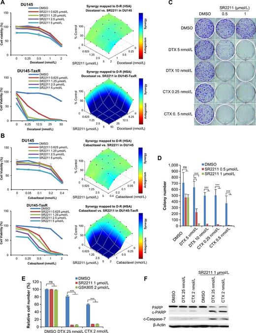 Therapeutic Targeting of MDR1 Expression by RORγ Antagonists ...