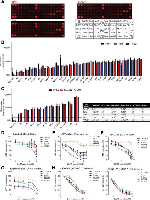 Dual mTORC1/2 Inhibition Sensitizes Testicular Cancer Models to ...