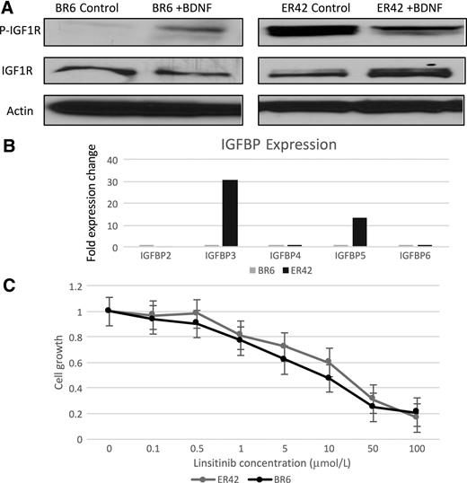 Mechanisms of Entrectinib Resistance in a Neuroblastoma Xenograft Model ...