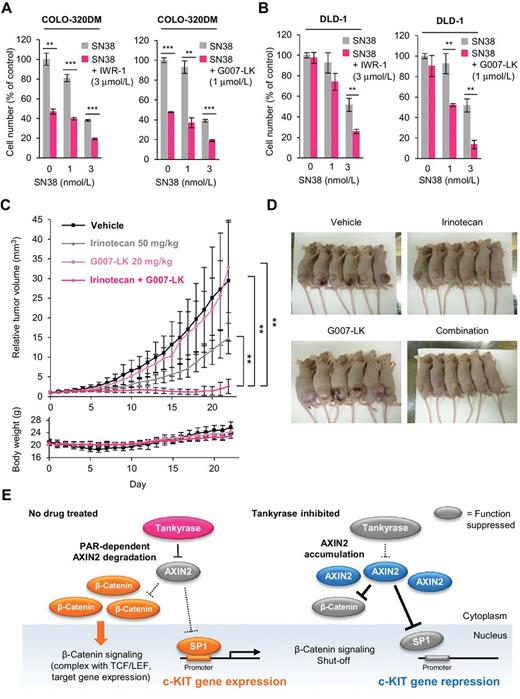 Tankyrase Inhibitors Target Colorectal Cancer Stem Cells via AXIN ...