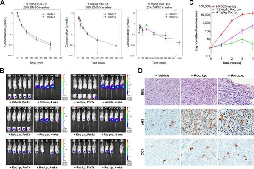 Targeting Protein Translation by Rocaglamide and Didesmethylrocaglamide to Treat MPNST and Other ...