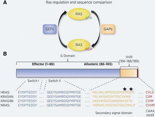 A Historic Perspective and Overview of H-Ras Structure, Oncogenicity ...