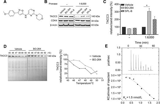 A Highly Potent TACC3 Inhibitor as a Novel Anticancer Drug Candidate ...