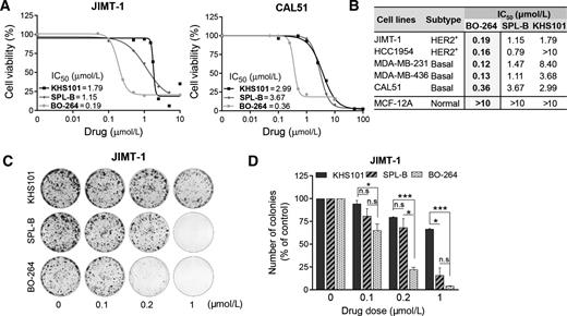 A Highly Potent TACC3 Inhibitor as a Novel Anticancer Drug Candidate ...