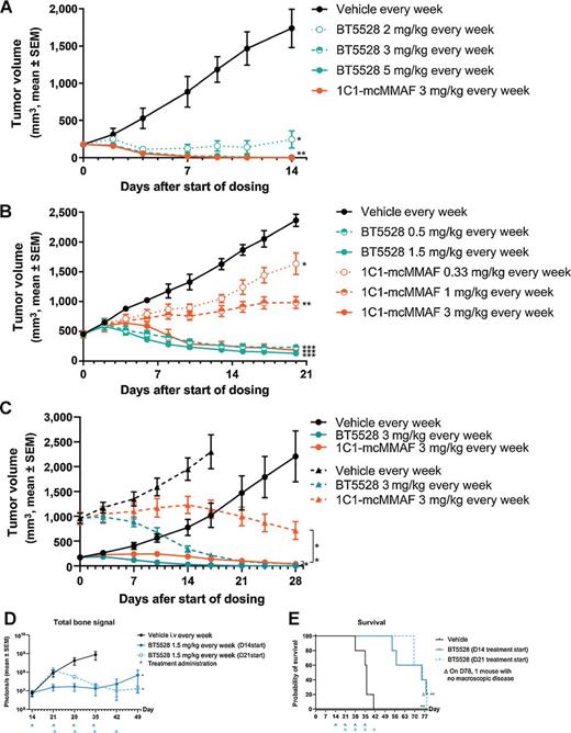 MMAE Delivery Using the Bicycle Toxin Conjugate BT5528 | Molecular ...