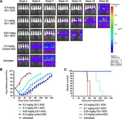 Preclinical Characterization of an Antibody–Drug Conjugate Targeting CS ...