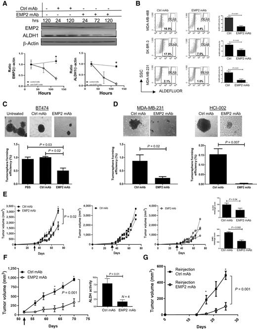 EMP2 Is a Novel Regulator of Stemness in Breast Cancer Cells ...