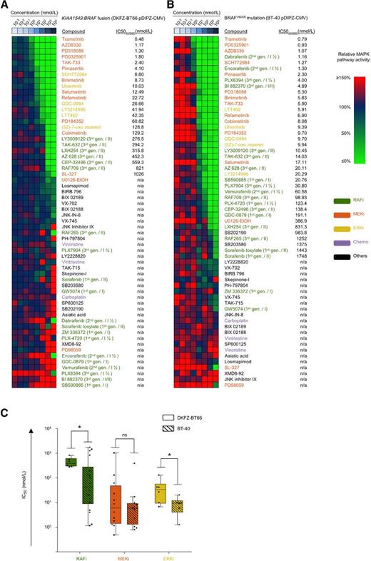 A Cell-Based MAPK Reporter Assay Reveals Synergistic MAPK Pathway ...