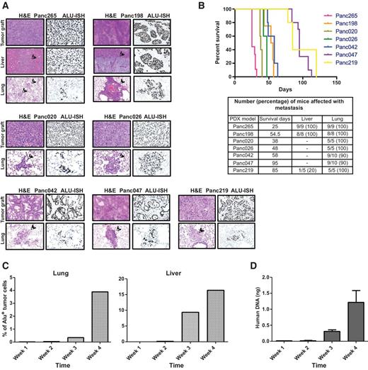 Discovery of New Targets to Control Metastasis in Pancreatic Cancer by ...