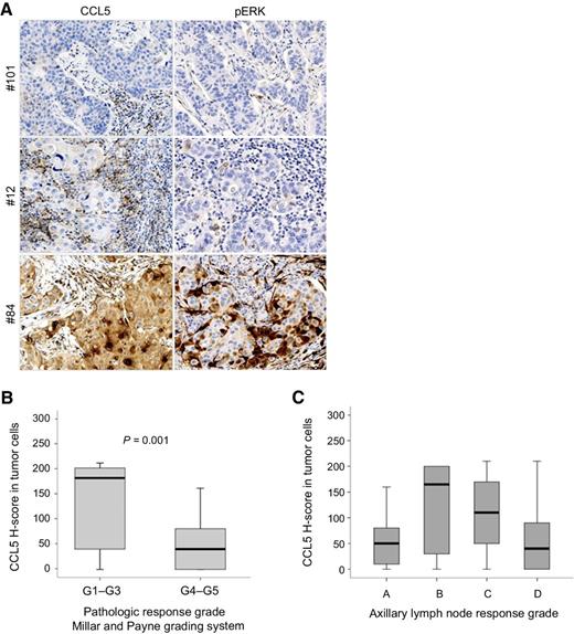 Autocrine CCL5 Effect Mediates Trastuzumab Resistance by ERK Pathway ...