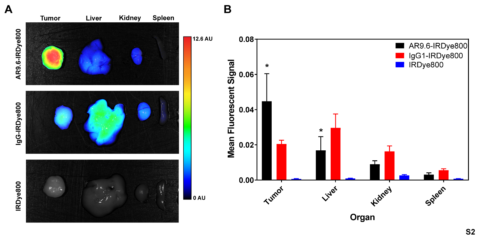 Development of a MUC16-Targeted Near-Infrared Fluorescent Antibody ...