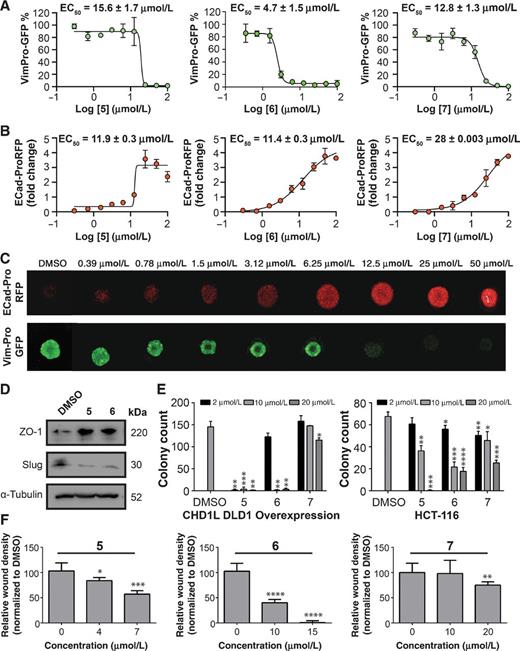 First-in-Class Inhibitors of Oncogenic CHD1L with Preclinical Activity ...