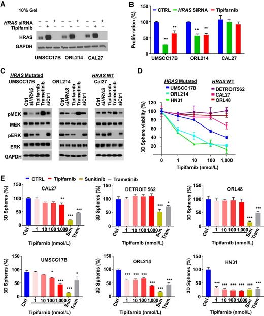 Tipifarnib as a Precision Therapy for HRAS-Mutant Head and Neck ...