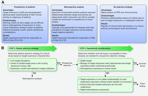 Patient Selection Strategies to Maximize Therapeutic Index of Antibody ...