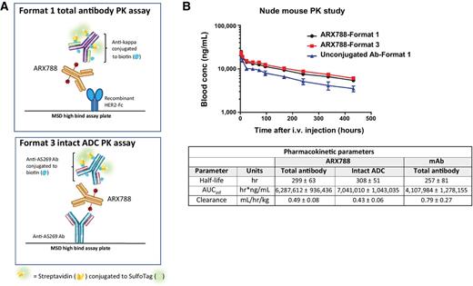 ARX788, a Site-specific Anti-HER2 Antibody–Drug Conjugate, Demonstrates ...