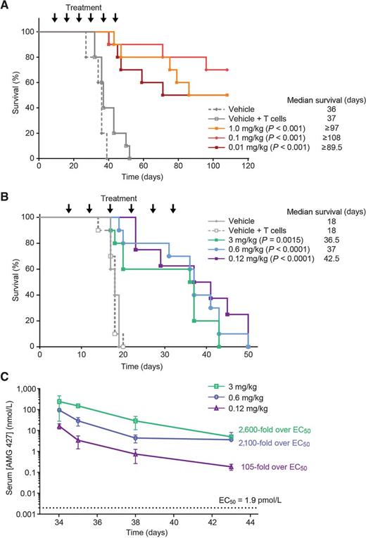 Characterization of a Novel FLT3 BiTE Molecule for the Treatment of ...