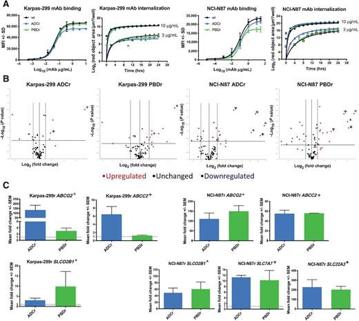 The Role of Specific ATP-Binding Cassette Transporters in the Acquired ...